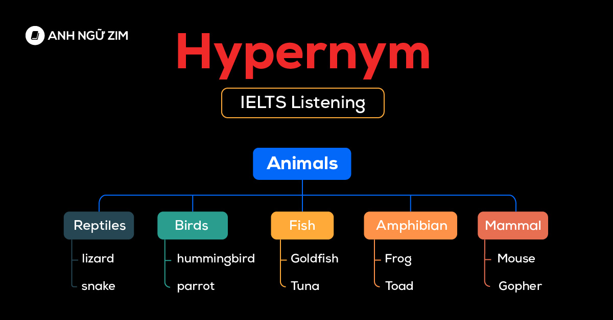 Hypernym là gì và ứng dụng trong việc học từ vựng cho IELTS Listening