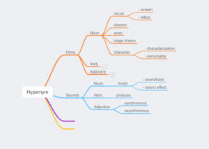 Hypernym là gì và ứng dụng trong việc học từ vựng cho IELTS Reading