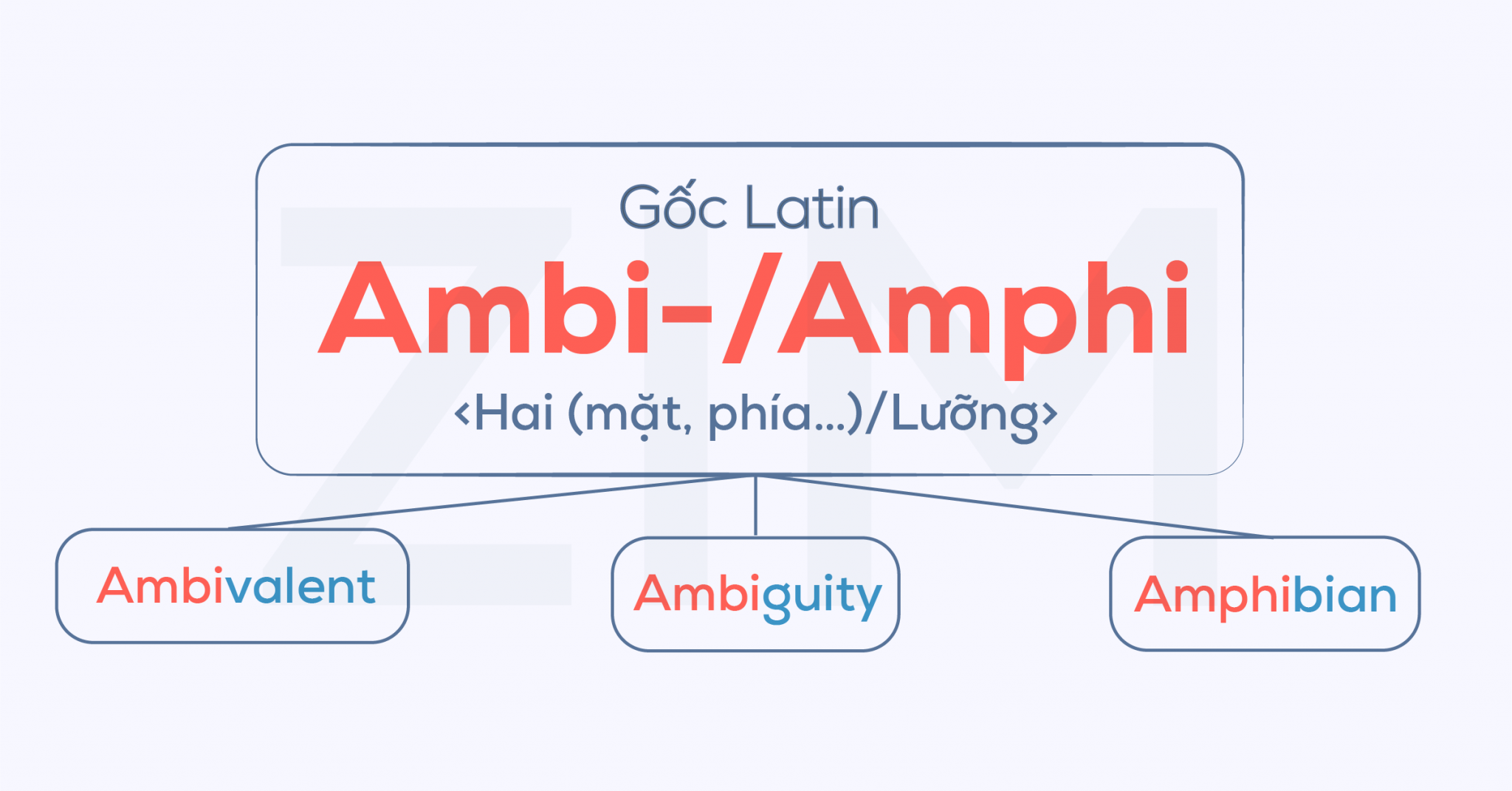 Tiếng Latin và lợi ích của việc học ngôn ngữ Latin đối với người học ...