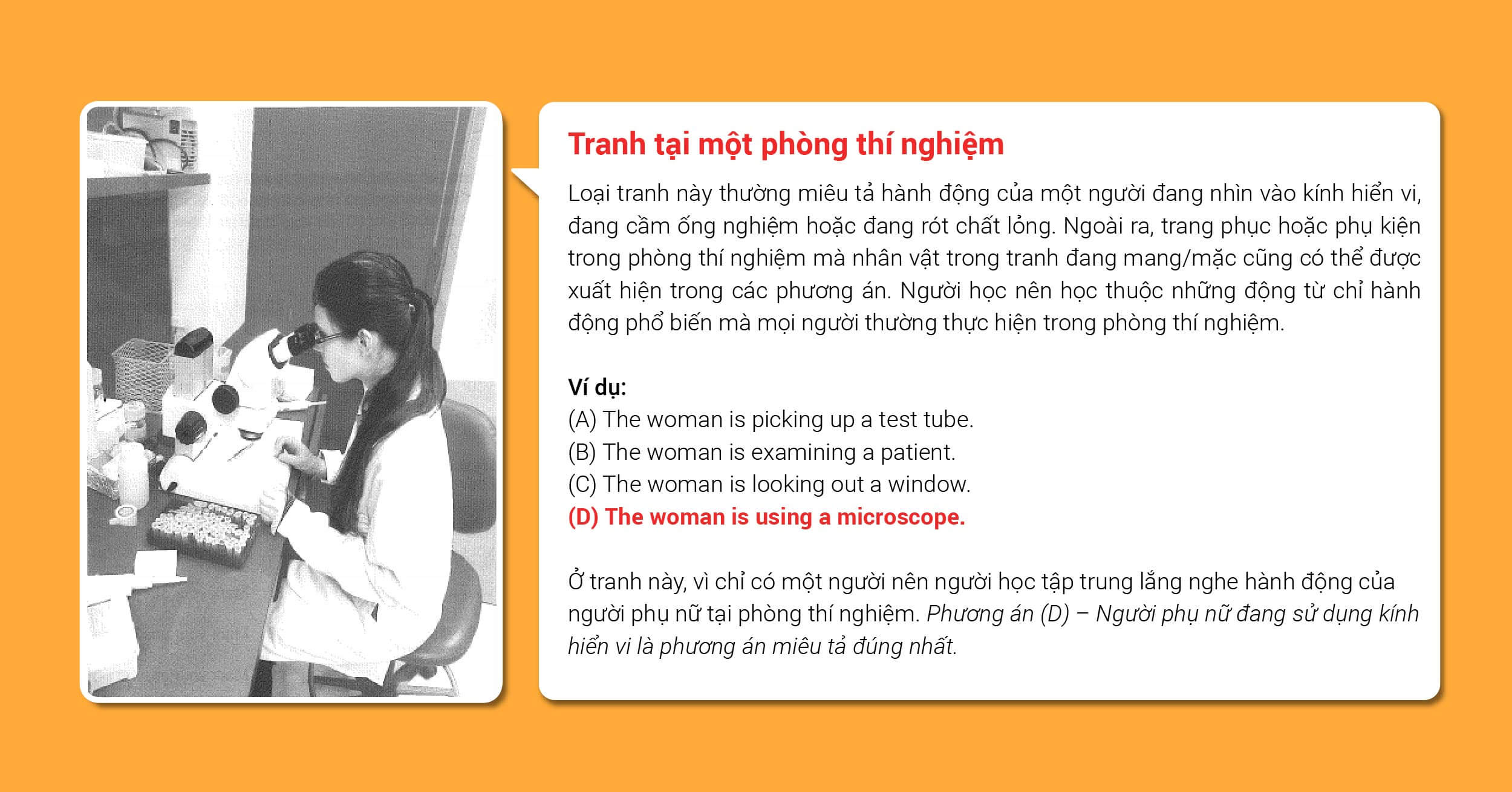 TOEIC Listening | Cấu trúc bài thi & Lộ trình ôn luyện 1 tháng