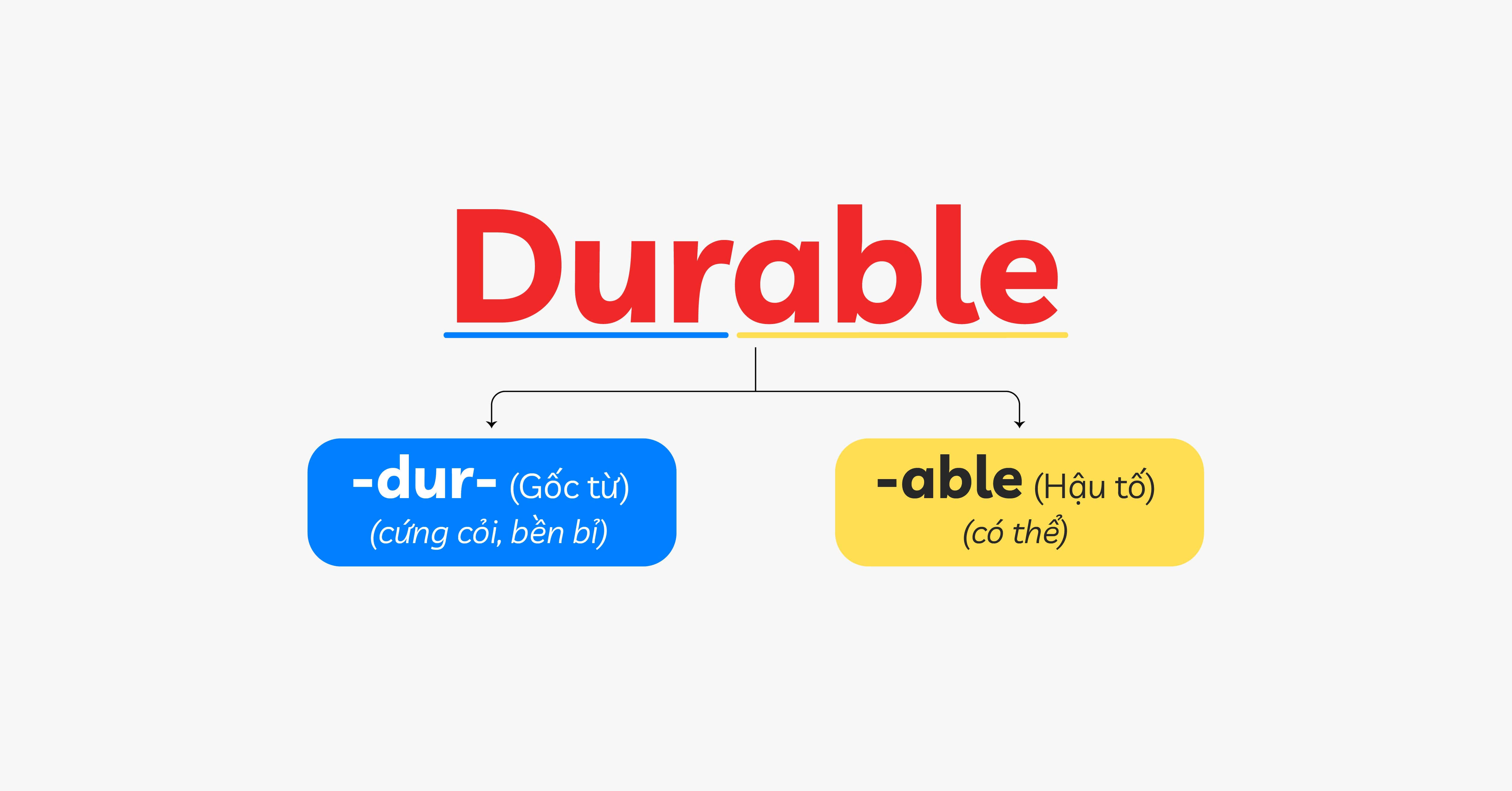Học từ vựng thông qua gốc từ - Gốc từ -dur