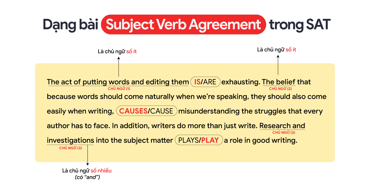 Bài viết chuyên mục SAT