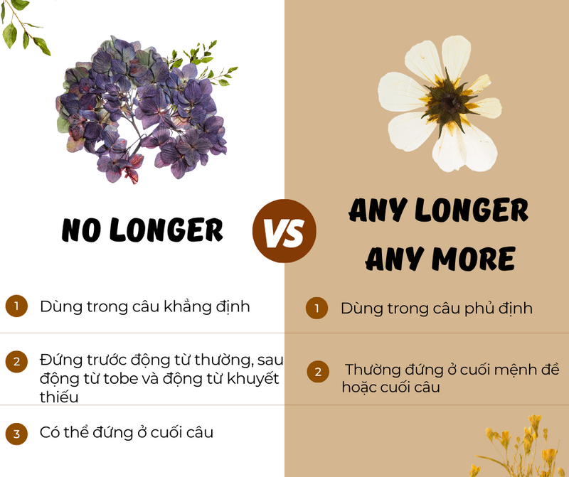 Cụm từ get rid of là gì ? Cách sử dụng & Ví dụ minh họa chi tiết