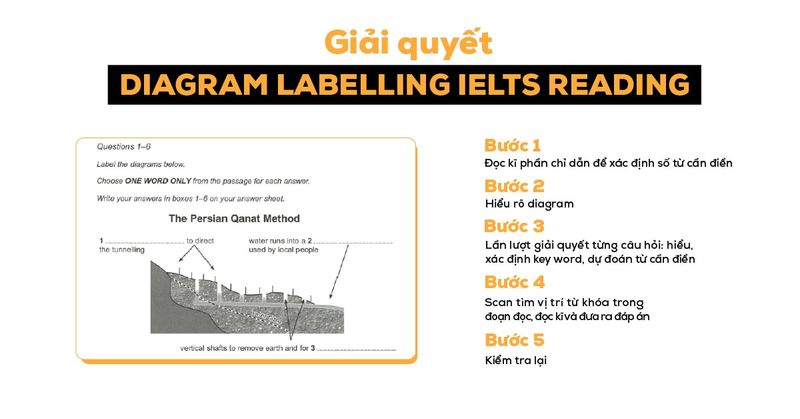 Chiến lược làm bài Diagram Label Completion IELTS Reading