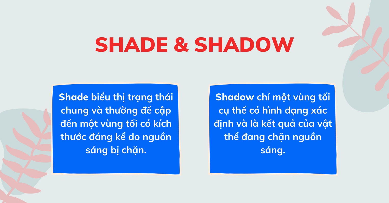 Phân biệt “Shade” và “Shadow” | Zim Academy