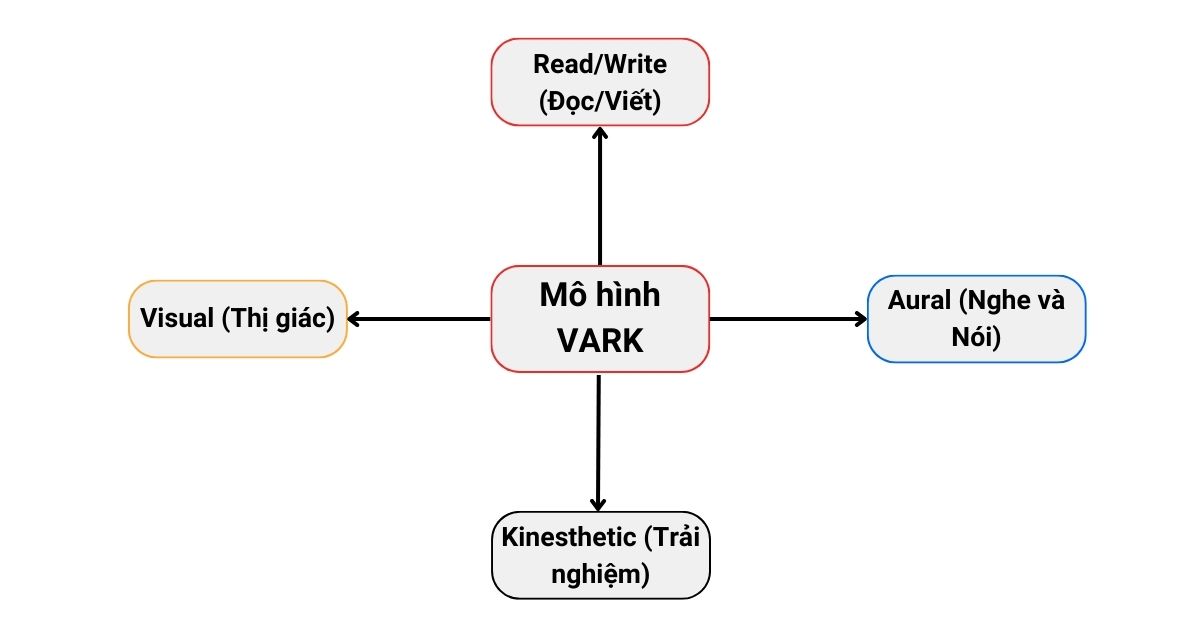 Mô hình VARK | Cách ứng dụng trong việc học IELTS