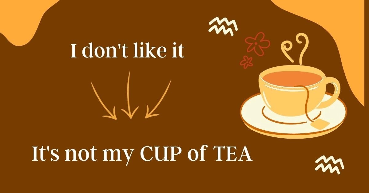 5 cách nói tương tự "I Don't Like It" | ZIM Academy