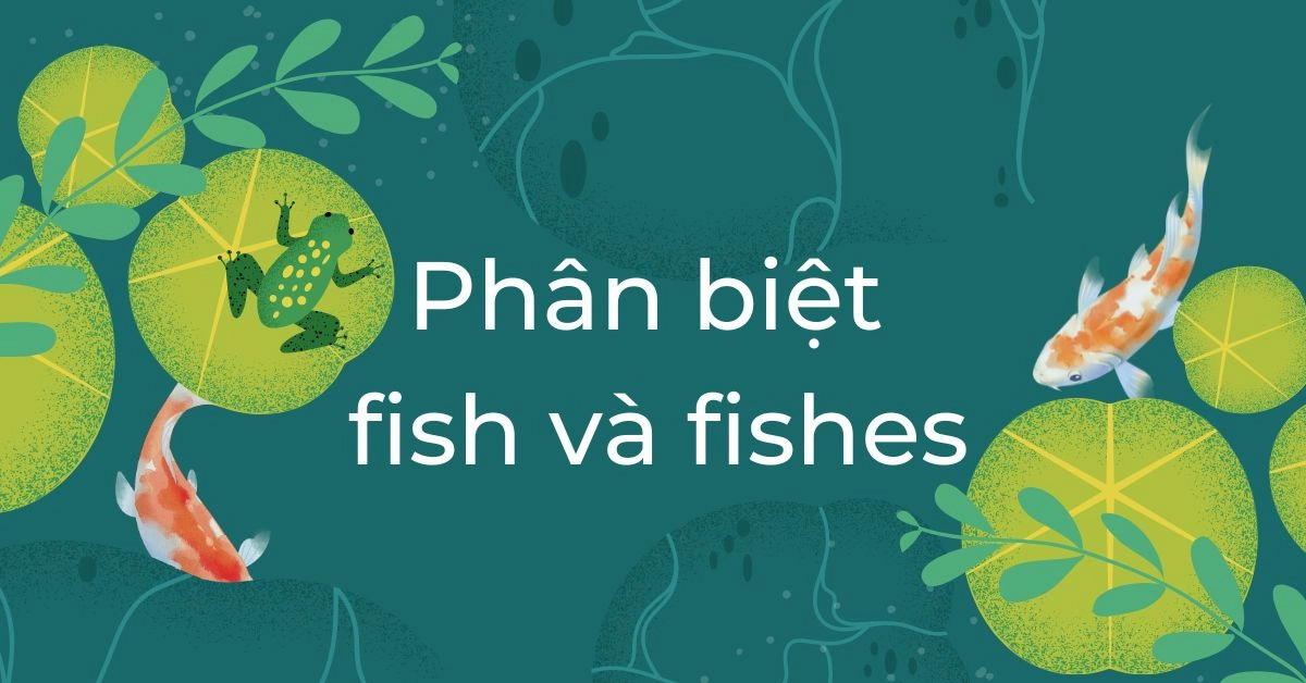Phân biệt Fish và Fishes - Cách dùng và bài tập vận dụng