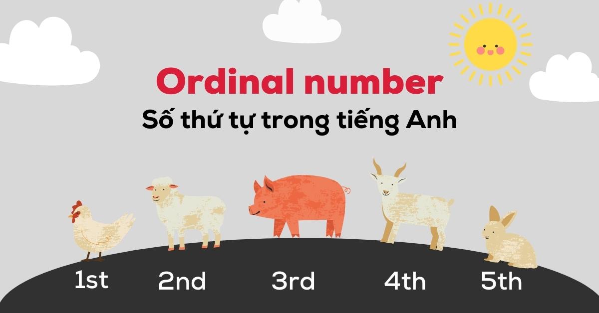 Phân biệt ordinal - cardinal - nominal numbers | ZIM Academy