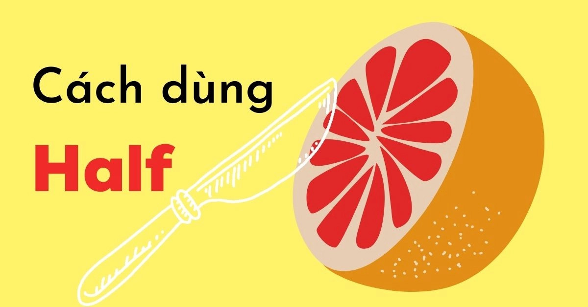 Cách dùng Half chi tiết và bài tập vận dụng có đáp án
