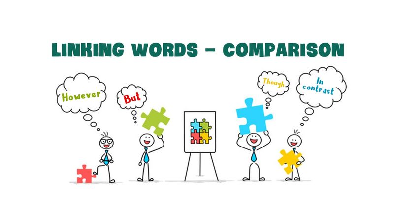 Linking verb (động từ nối) trong tiếng Anh - ZIM Academy