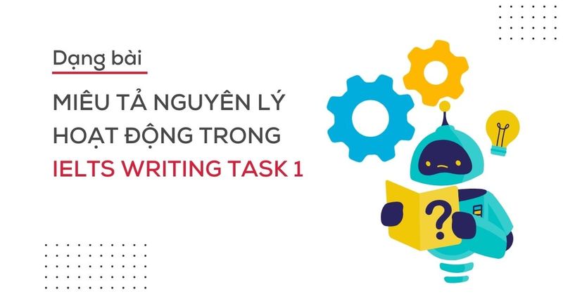 Natural Process trong IELTS Writing Task 1 | ZIM Academy
