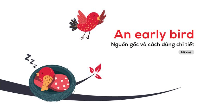 A night owl là gì? Ý nghĩa và cách dùng trong tiếng Anh