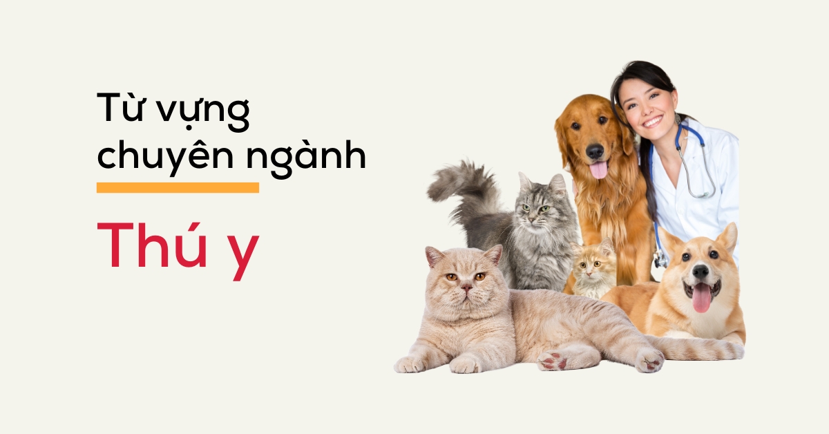Từ vựng chuyên ngành Thú y kèm từ vựng, mẫu câu, cách học