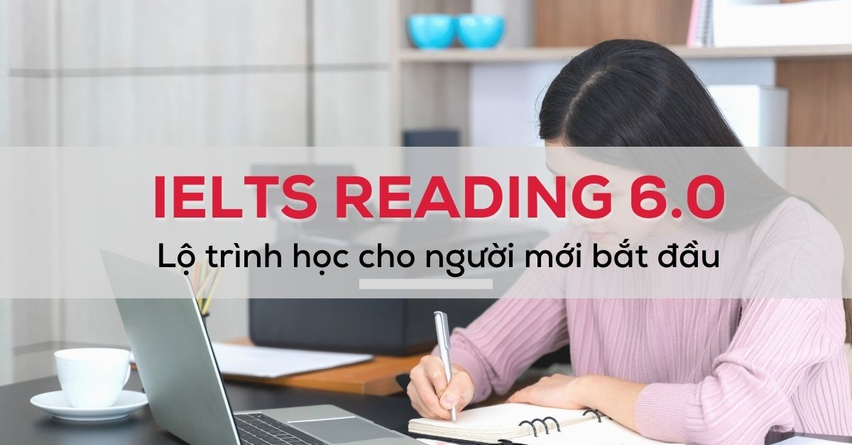 Lộ trình học IELTS Reading 6.0 cho người mới bắt đầu