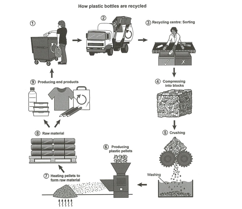 Giải đề Cambridge IELTS 16, Test 4, Writing Task 1 - ZIM Academy
