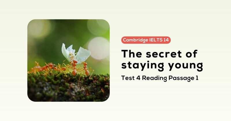 Giải Cam 18, Test 4, Reading Passage 2: The growth mindset