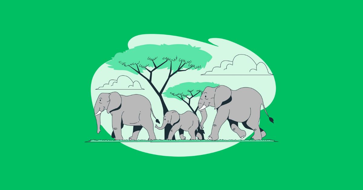 Elephant Reading Answers