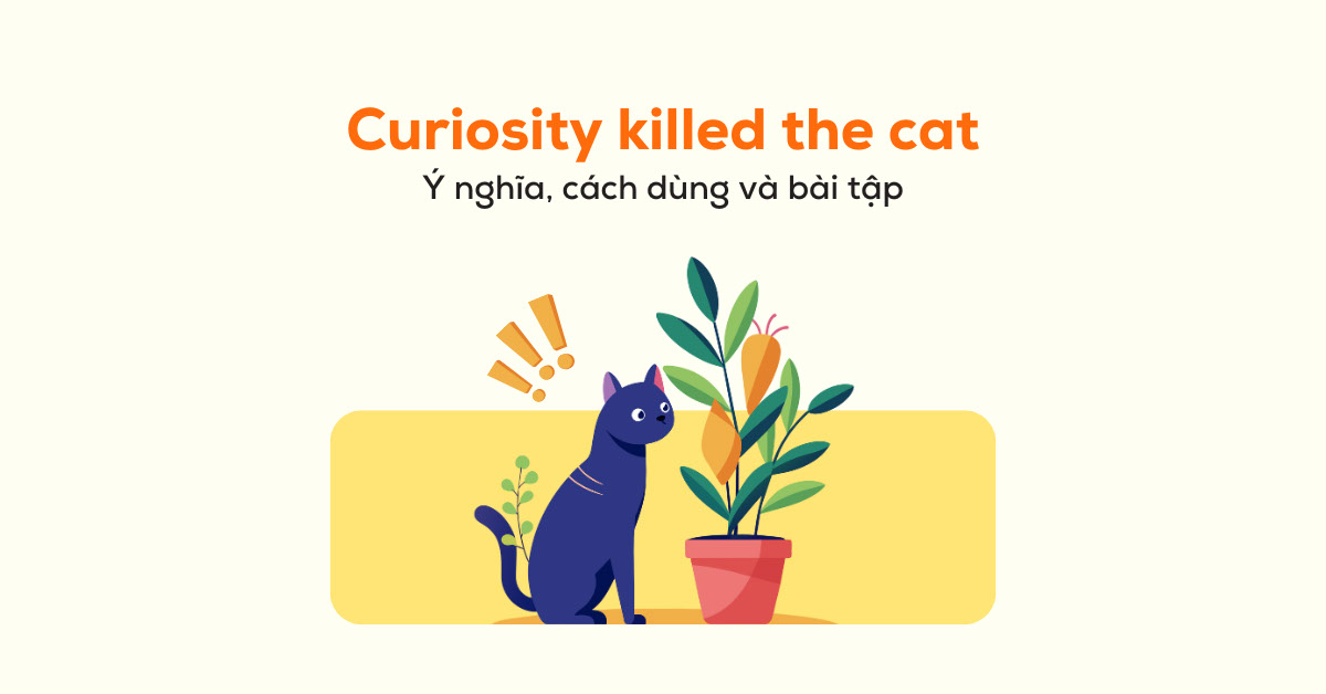 Idiom Curiosity killed the cat: Ý nghĩa & cách dùng