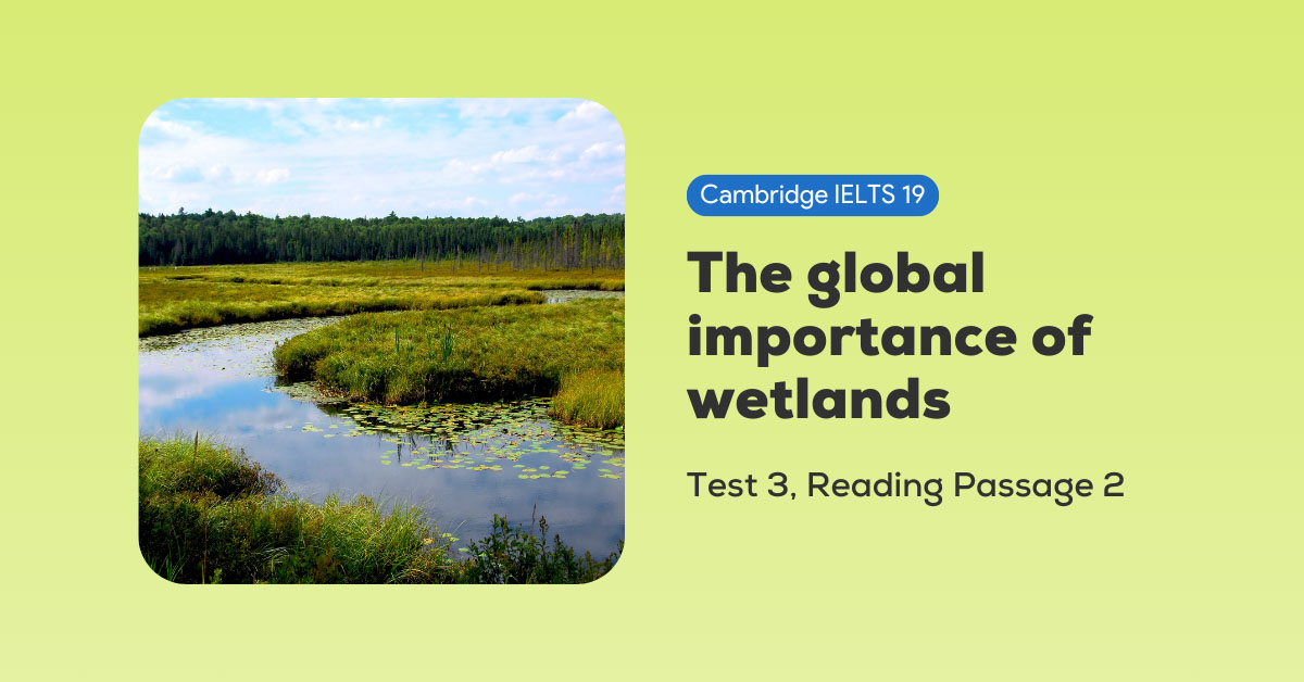 Giải Cam 19 Test 3 Reading Passage 2: The global importance of wetlands