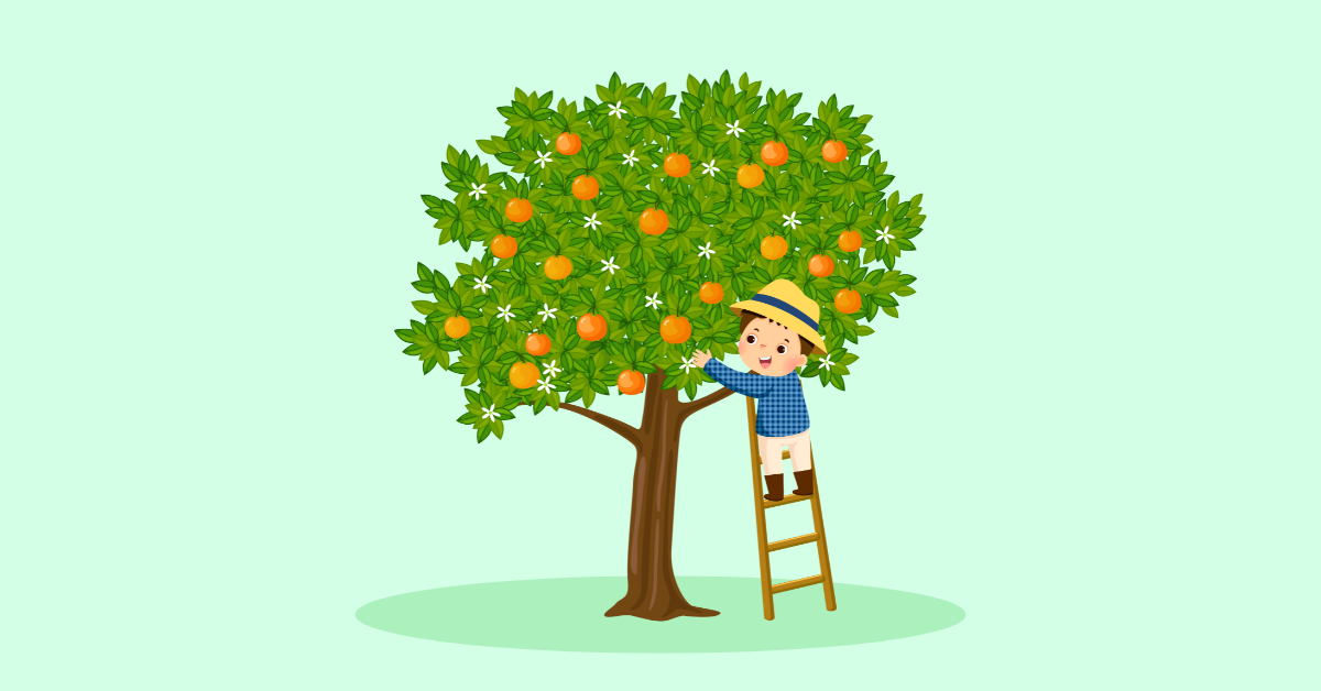 Phrasal verb Pick: Định nghĩa, cấu trúc, ví dụ và bài tập